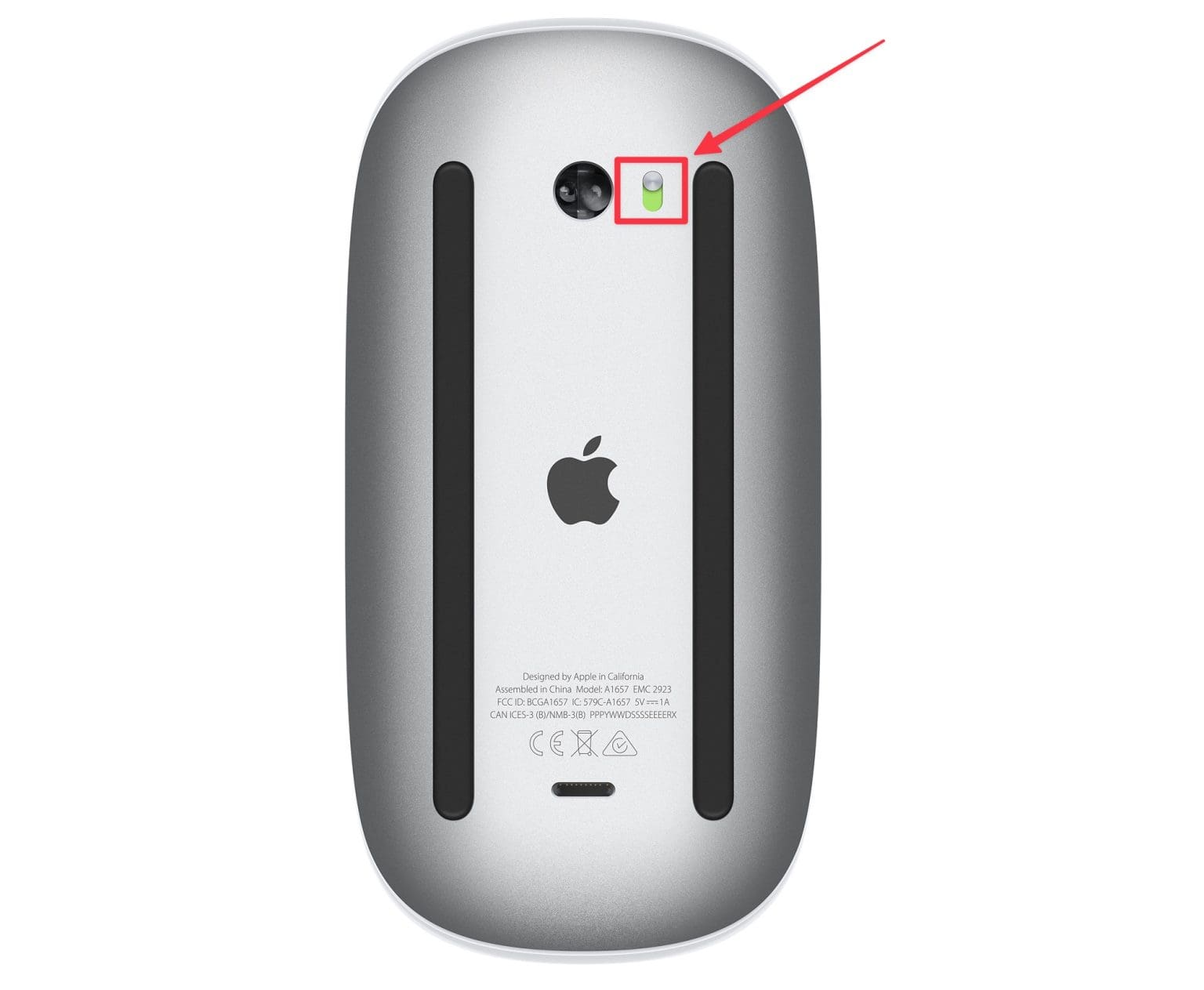 Apple Mouse Not Working: 9 Best Ways to Fix