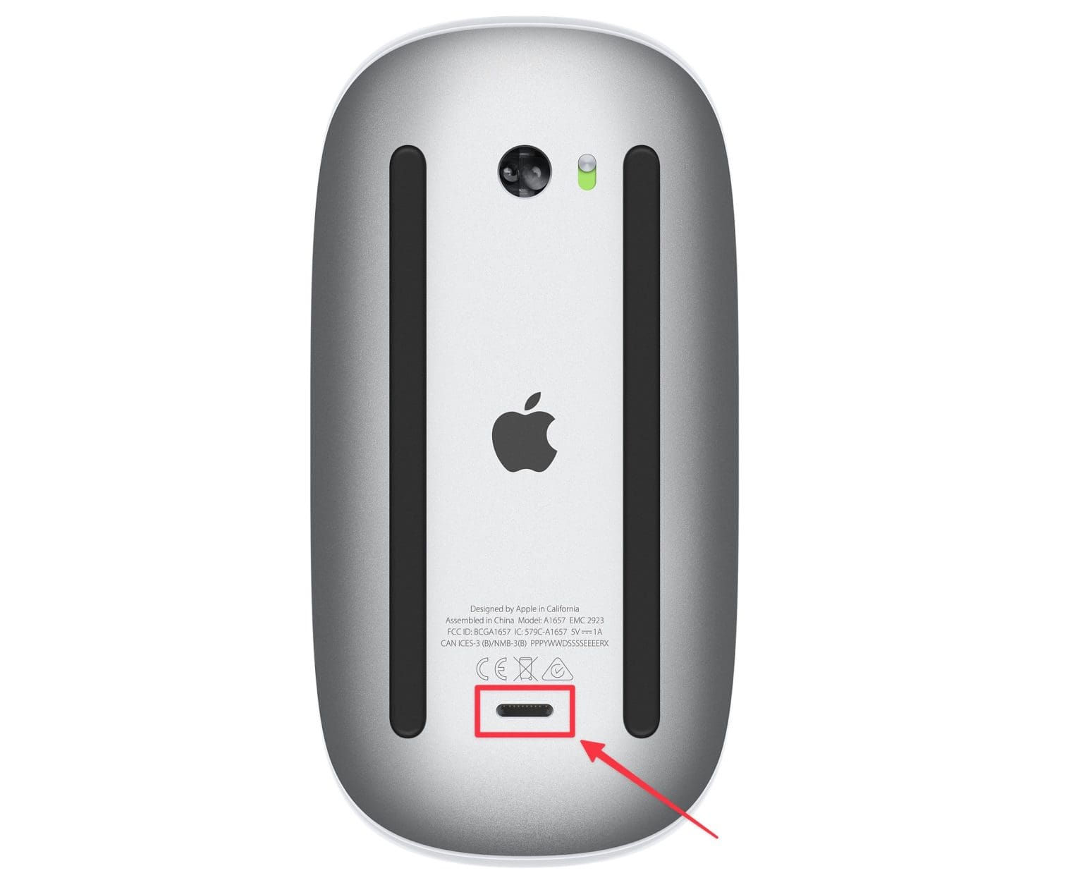 Apple Mouse Not Working: 9 Best Ways to Fix