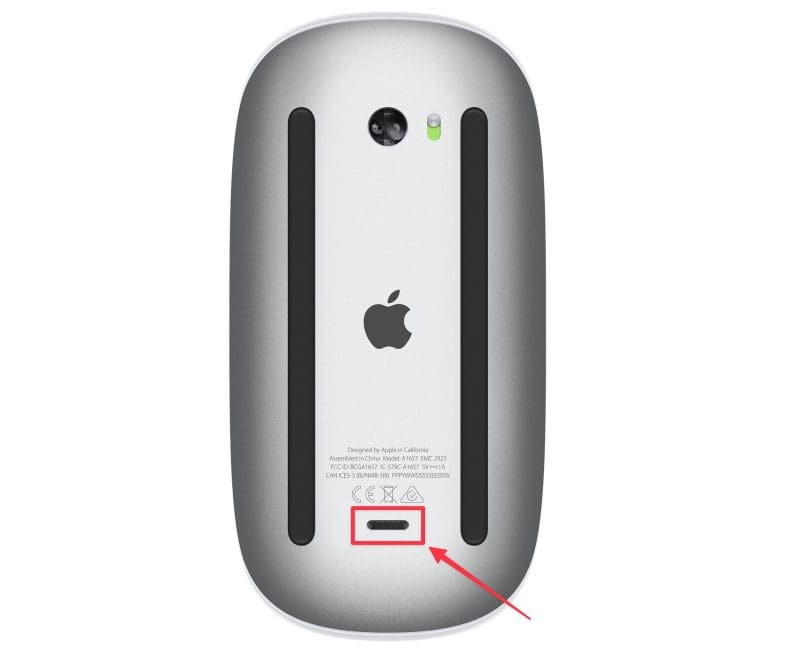 Apple Mouse Not Working: 9 Best Ways to Fix