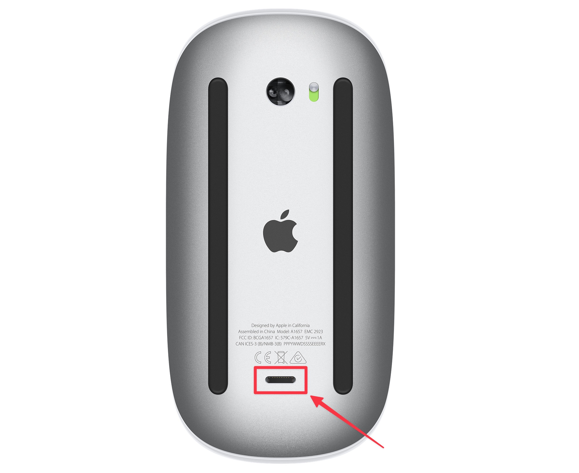 Apple Mouse Not Working: 9 Best Ways to Fix