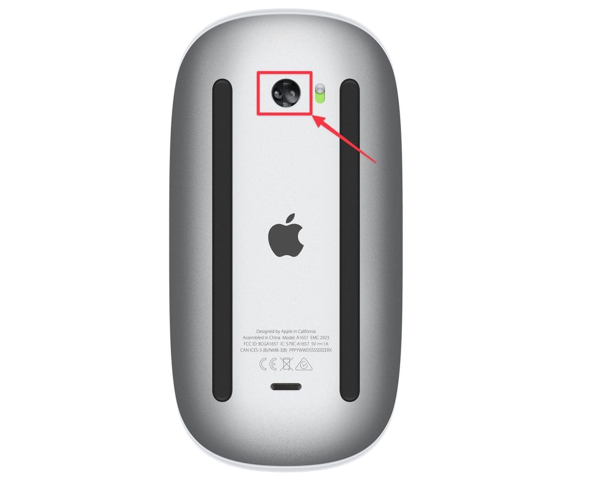Apple Mouse Not Working: 9 Best Ways to Fix